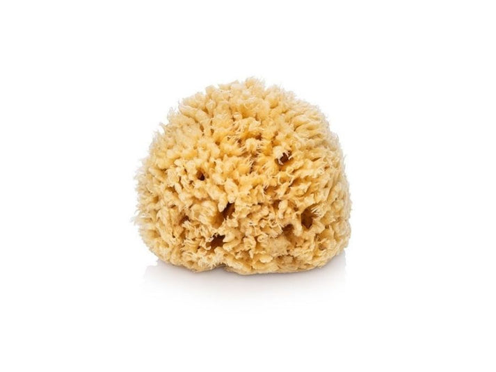 Sea Wool Natural Sponge – Old Whaling Company