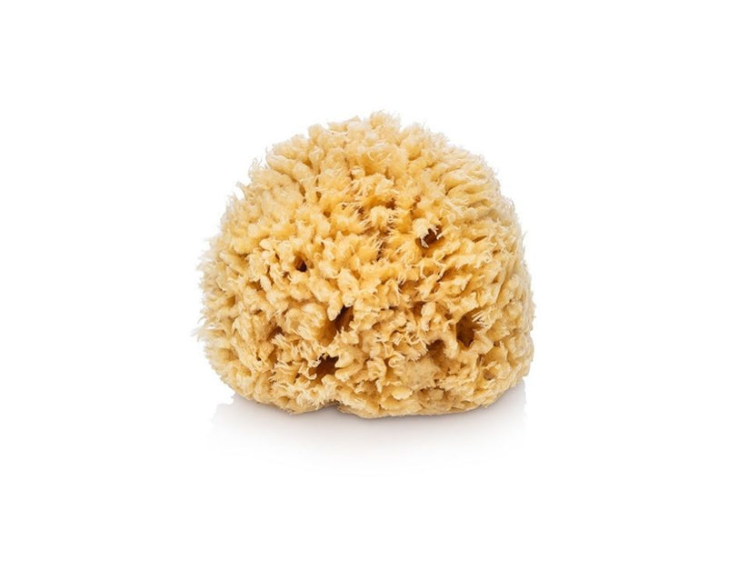 Sea Wool Natural Sponge – Old Whaling Company